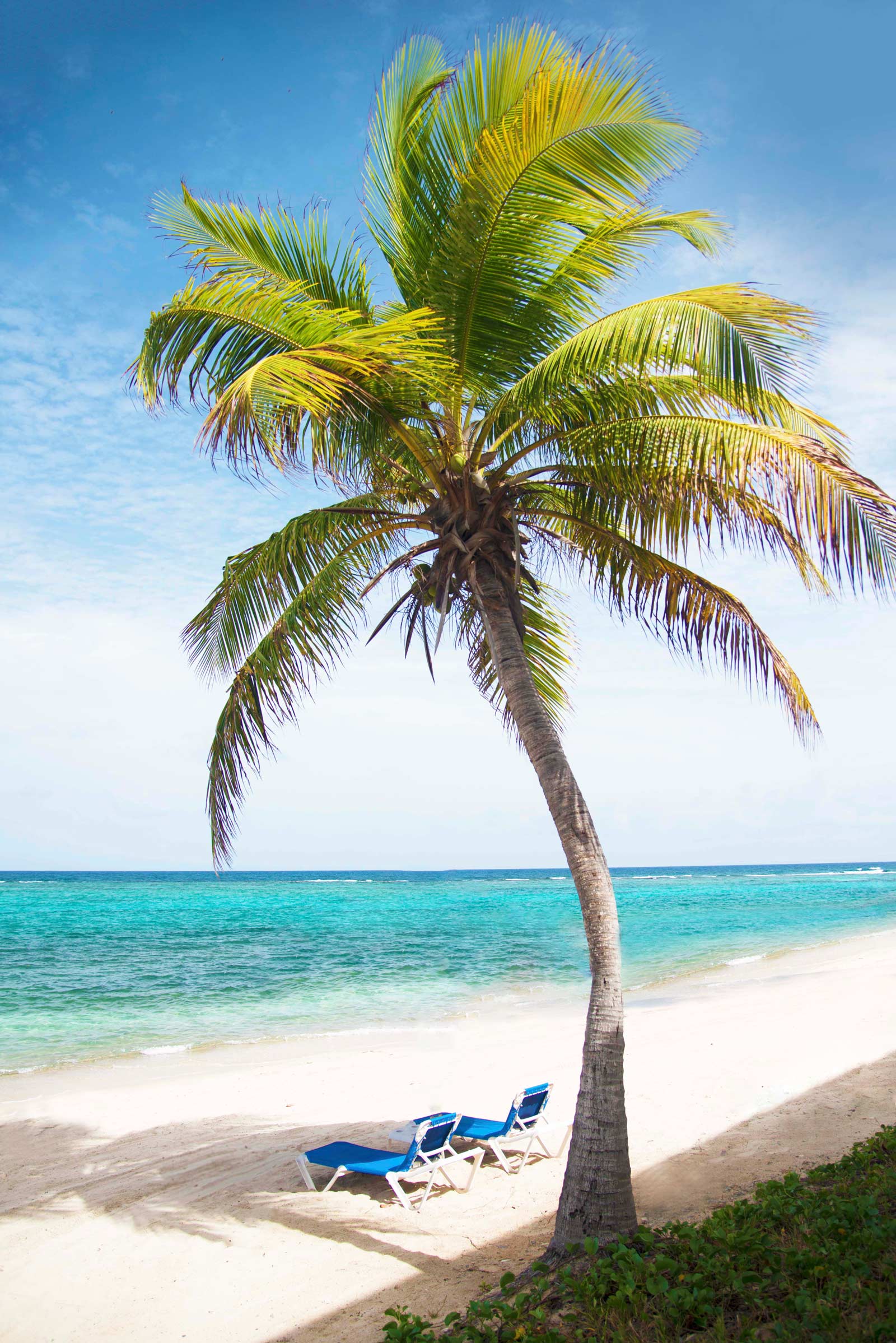 Amenities at Divi Carina Bay All-Inclusive Beach Resort & Casino